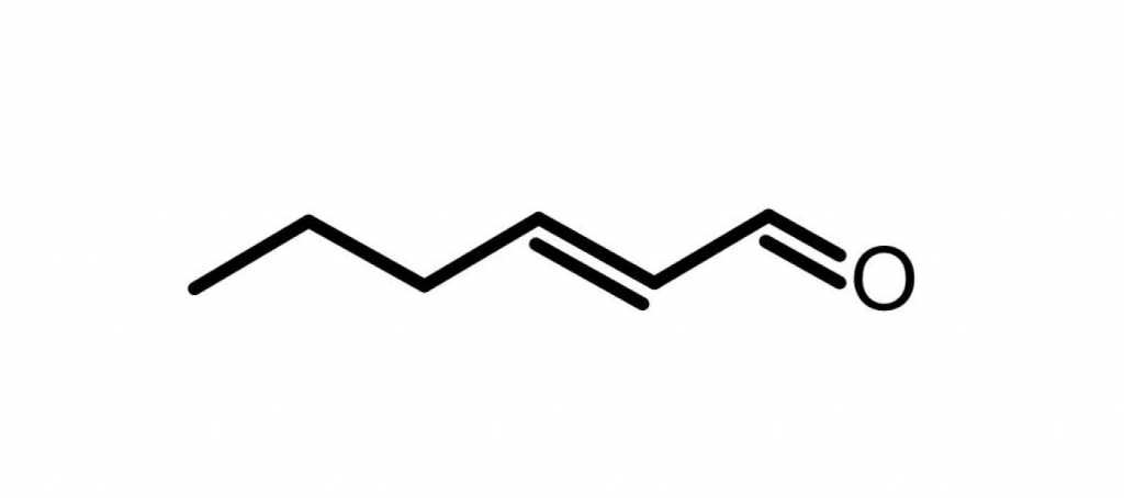 Leaf-aldehyde – Ardra